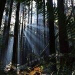 Private Border Corner Tour in Washington - What’s Included and Practical Considerations