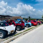 Private Buggy Tour in Cozumel, Snorkel & Lunch: All Inclusive - What to Expect on the Day