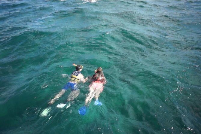 Private Catamaran Experience from Cancun to Isla Mujeres! - Why This Tour Provides Great Value