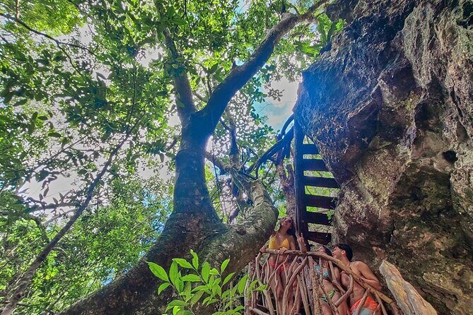 Private Cenote Experience, swim in the heart of the Mayan Jungle - Why This Tour is a Great Choice