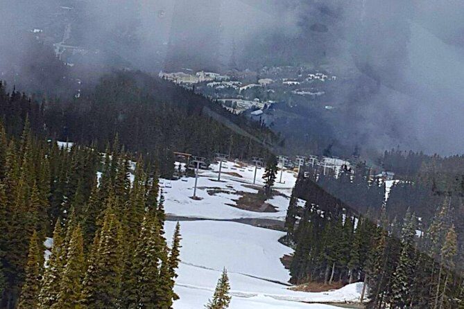 Private Charter Tour to Explore Vancouver and Surrounding Area - The Sum Up