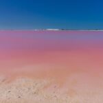 Private Chichen Itza, Cenote Ik Kil, Rio Lagartos & Las Coloradas - Authentic Experiences and Insights from Reviewers