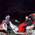 Private Christmas Lights Horse Carriage Tour In New York City - Why This Tour Is a Holiday Must-Do