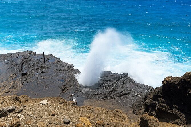 Private Circle Island Tour North Shore and East Side - Exploring the Itinerary