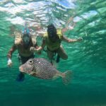 Private Cozumel Jeep and Jade Cavern Cenote Tour - A Closer Look at the Cozumel Jeep and Jade Cenote Tour