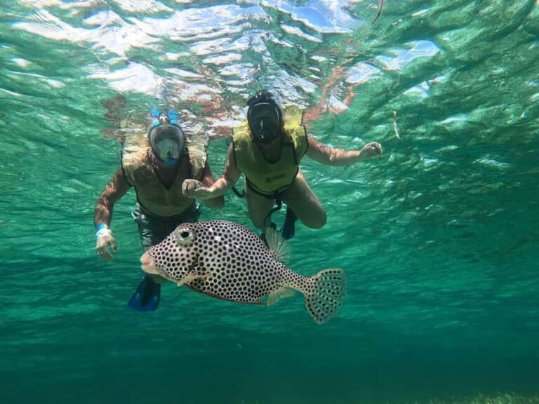 Private Cozumel Jeep and Jade Cavern Cenote Tour - A Closer Look at the Cozumel Jeep and Jade Cenote Tour