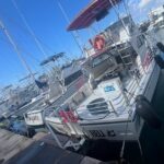 Private & Custom - Family Fish and Snorkel Charter - The Sum Up