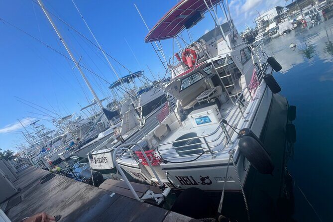 Private & Custom - Family Fish and Snorkel Charter - The Sum Up