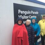 Private custom Penguin Tour with Premium Penguin Tickets - Why This Tour Is a Great Choice