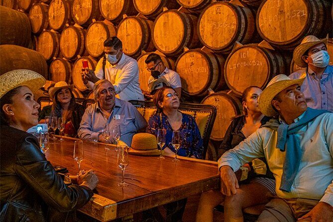 Private Day Adventure Tour in Tequila and visit to the Castle of Tequila - Deep Dive into the Tour Experience