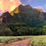 Private Day Trip Hike and Boat in Moorea - Final Thoughts