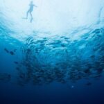 Private Day Trip to San José & Cabo San Lucas - Transportation, Timing, and Value