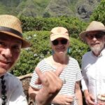 Private Dole,Garlic Shrimp, N.Shore, Haleiwa, Customizable tour - Detailed Breakdown of the Itinerary