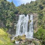 Private Driver Hire  Full-Day Touring-Auckland/Rotorua/Hamilton - Full Breakdown of the Itinerary