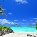 Private Driving Tour of Oahu Scenic South Shore - Detailed Breakdown of the Itinerary