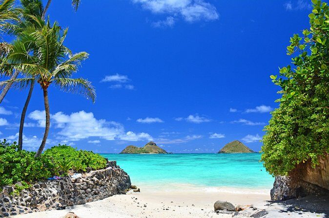 Private Driving Tour of Oahu Scenic South Shore - Detailed Breakdown of the Itinerary