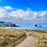 Private Dunedin City Highlights and Otago Peninsula Day Tour - Who Will Love This Tour?