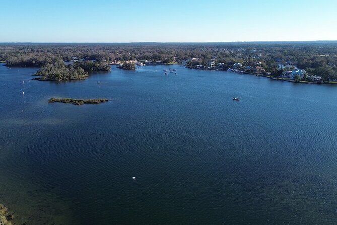 Private Eco Tour in Kings Bay Crystal River Florida - Who Will Love This Tour?