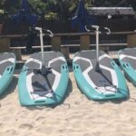 Private Electric Paddle Cruise in Bora Bora - Marine Life and Sightseeing