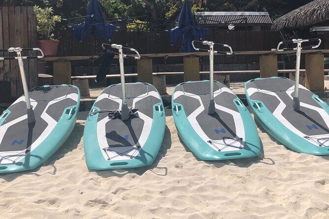 Private Electric Paddle Cruise in Bora Bora - Marine Life and Sightseeing