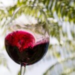 Private Essence of Waiheke Wine Tour - Detailed Breakdown of the Itinerary