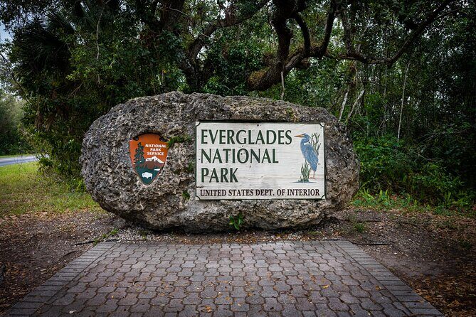 Private Everglades Eco Adventure: Airboats, Gators & Wild Florida - What to Expect from This Everglades Eco Adventure