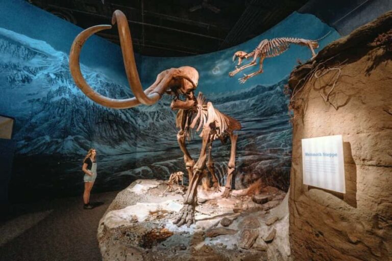 Private Exclusive Drumheller Tour with Royal Tyrrell Museum - Frequently Asked Questions