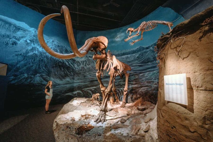 Private Exclusive Drumheller Tour with Royal Tyrrell Museum - Frequently Asked Questions