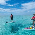 Private Excursion with E-Board in Moorea with snorkeling - Authentic Experiences from Reviewers