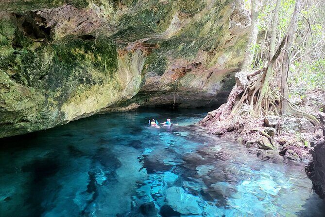 Private experience 5 cenotes at Riviera Maya - Why This Tour Stands Out