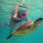 Private Experience: Akumal sea turtles encounter and Yal-kú lagoon colorfull fish snorkel. - What to Expect from Your Snorkel Day in Playa del Carmen