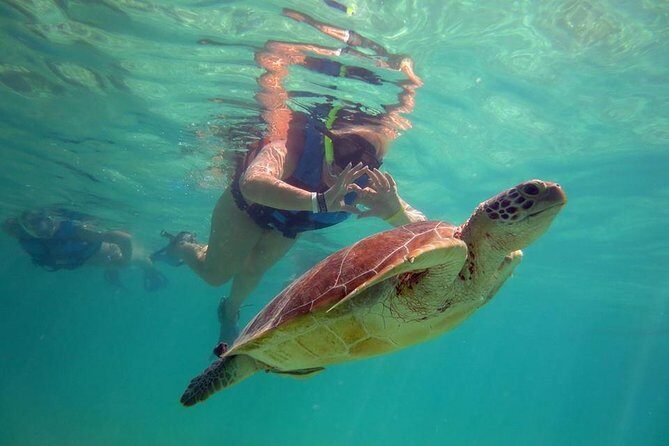 Private Experience: Akumal sea turtles encounter and Yal-kú lagoon colorfull fish snorkel. - What to Expect from Your Snorkel Day in Playa del Carmen