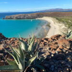 Private experience from Los Cabos to La Paz: (Balandra) - Frequently Asked Questions