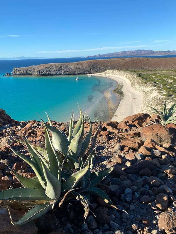 Private experience from Los Cabos to La Paz: (Balandra) - Frequently Asked Questions