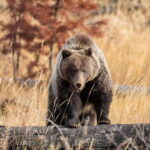 Private: Famous MOVIES + MOUNTAINS Photo Safari Drive - 4hrs - The Experience: Comfort, Guidance, and Photo Potential