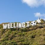 PRIVATE Full Day guided tour of Wellington including Te Papa Tour - The Itinerary: A Deep Dive