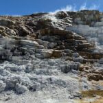 Private Full Day Tour of Yellowstone's Natural Wonders - What Do Visitors Say?