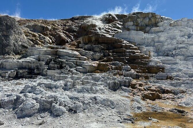 Private Full Day Tour of Yellowstone's Natural Wonders - What Do Visitors Say?