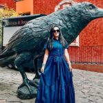 Private Full-Day Tour to Tequila Visiting Tequilera José Cuervo - Insights from Travelers