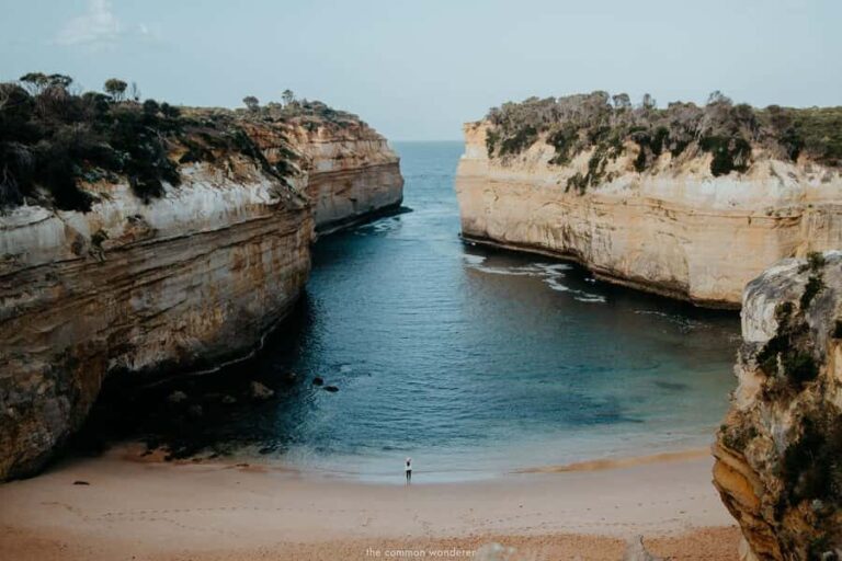 Private Great Ocean Road & 12 Apostles Experience - Why This Tour Offers Great Value