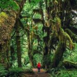 Private Greater Toronto DriveSpa Tour with Lunch - A Deep Dive into the Itinerary