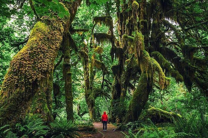 Private Greater Toronto DriveSpa Tour with Lunch - A Deep Dive into the Itinerary