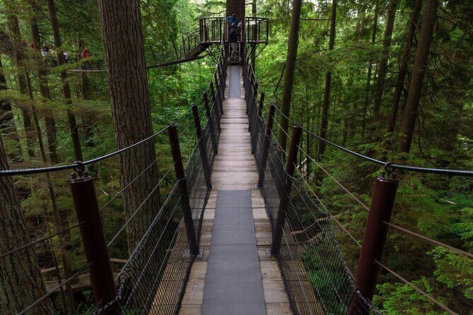 Private Grouse Mountain and Capilano Park Tour in Vancouver - What We Think About the Price