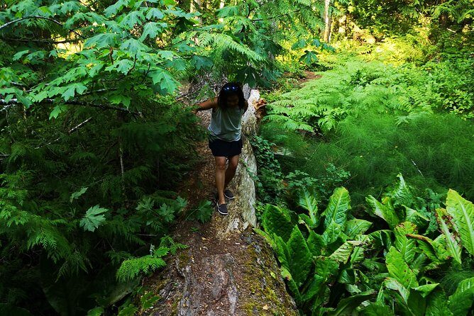 Private Guided Rainforest Hike in Victoria - The Sum Up