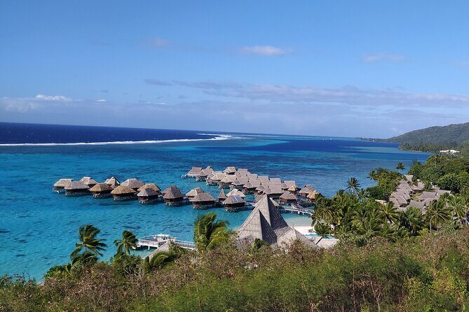 Private Guided Tour around the Moorea Island - Final Thoughts: Who Should Consider This Tour?