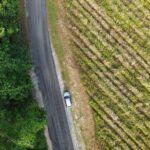 Private Guided Tour in Port Douglas and Surrounds - Authentic Insights from Reviews