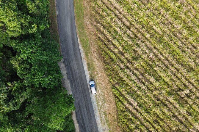 Private Guided Tour in Port Douglas and Surrounds - Authentic Insights from Reviews