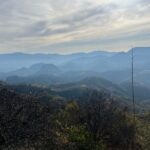 Private Half Day Bird Watching Experience - In-Depth Breakdown of the Itinerary and What to Expect