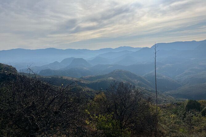 Private Half Day Bird Watching Experience - In-Depth Breakdown of the Itinerary and What to Expect