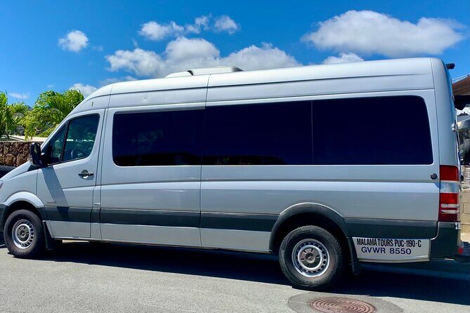 Private Half Day Oahu North Shore Anti-Tour - In-Depth Look at the Itinerary